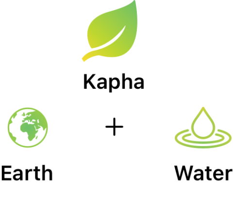 Kapha Vata Pitta - The Three Components of Ayurveda